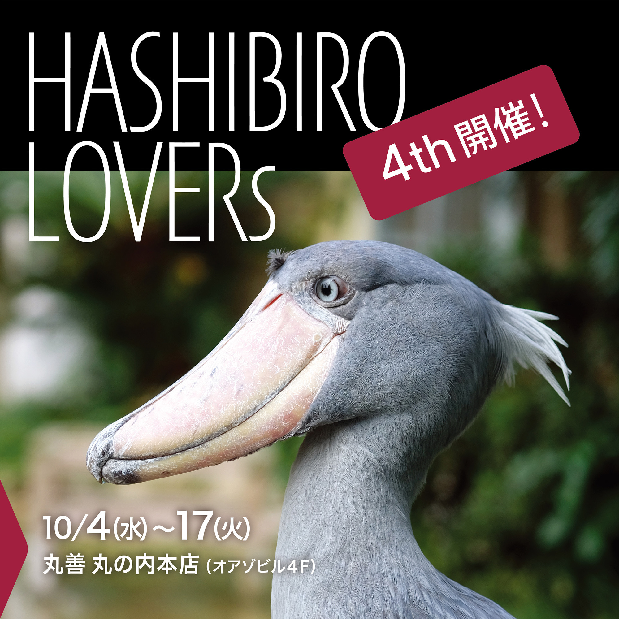 Hashibiro lovers Vol.4 | iichi 日々の暮らしを心地よくするハンドメイドやアンティークのマーケットプレイス