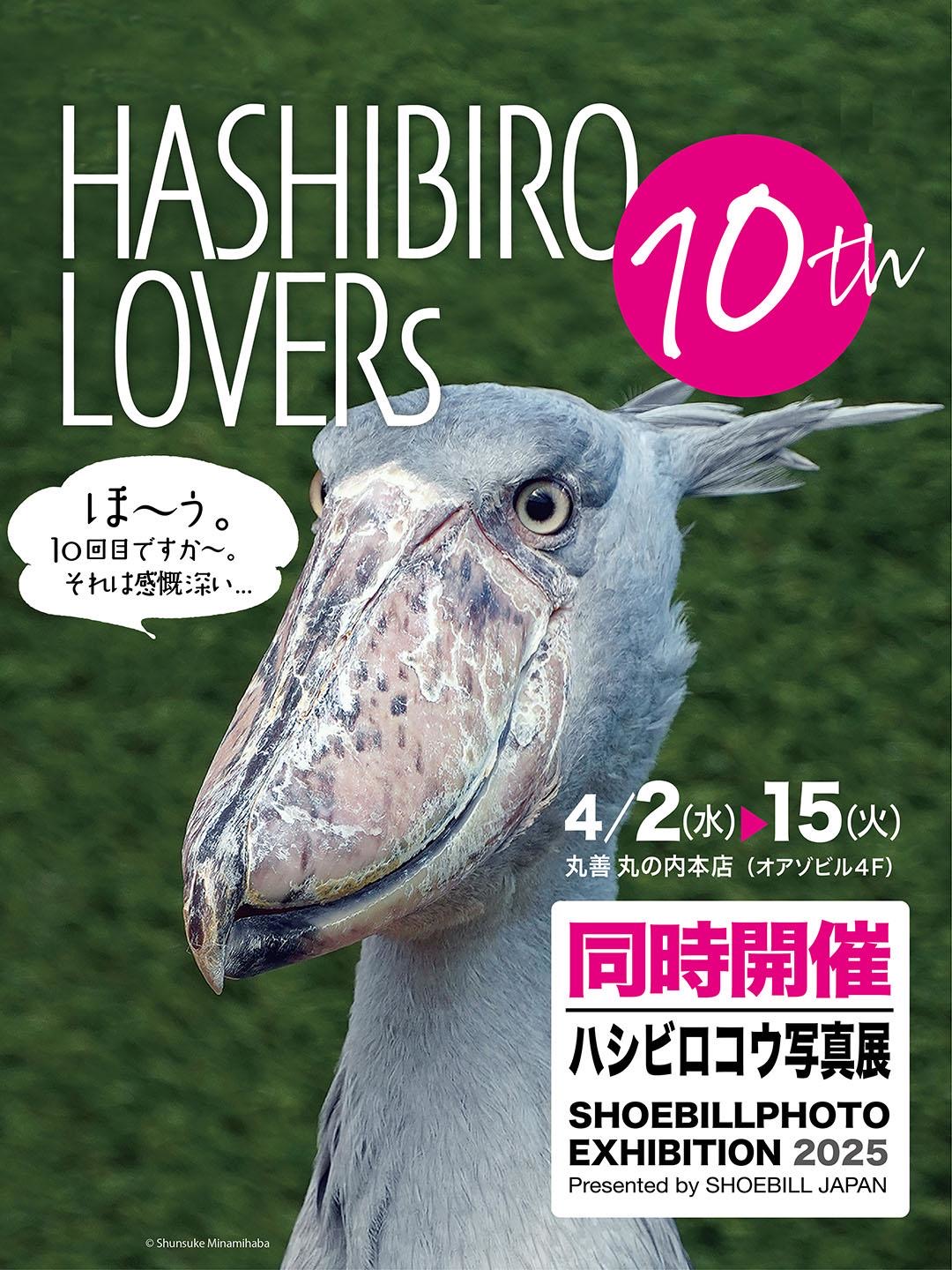 Hashibiro lovers 10th | iichi 日々の暮らしを心地よくするハンドメイドやアンティークのマーケットプレイス