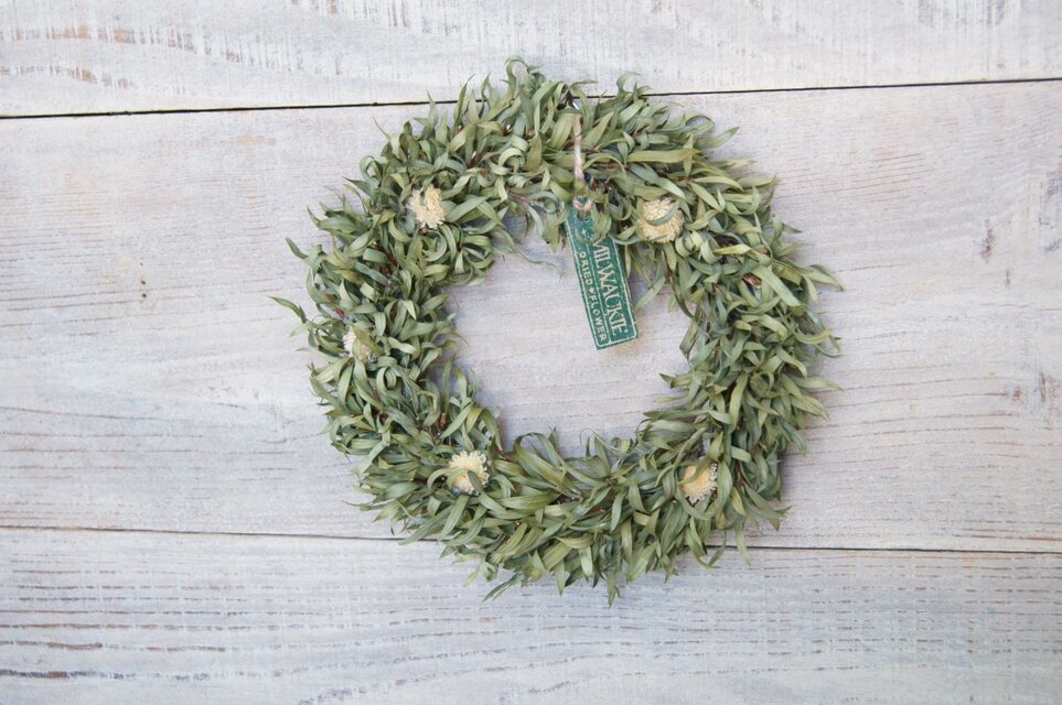 金宝樹のリース W-67 | iichi 日々の暮らしを心地よくするハンドメイドやアンティークのマーケットプレイス