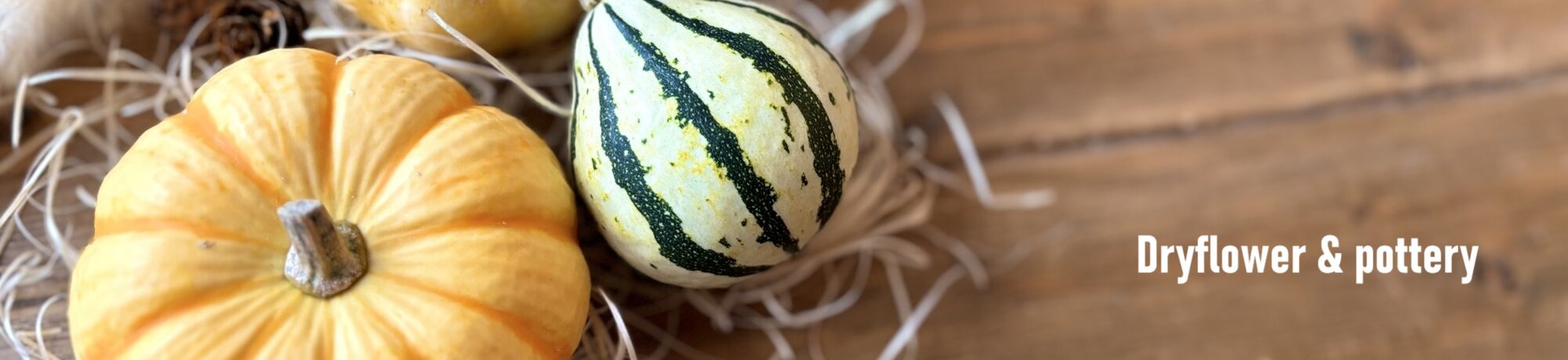 hakobe 作品一覧 | iichi 日々の暮らしを心地よくするハンドメイドやアンティークのマーケットプレイス