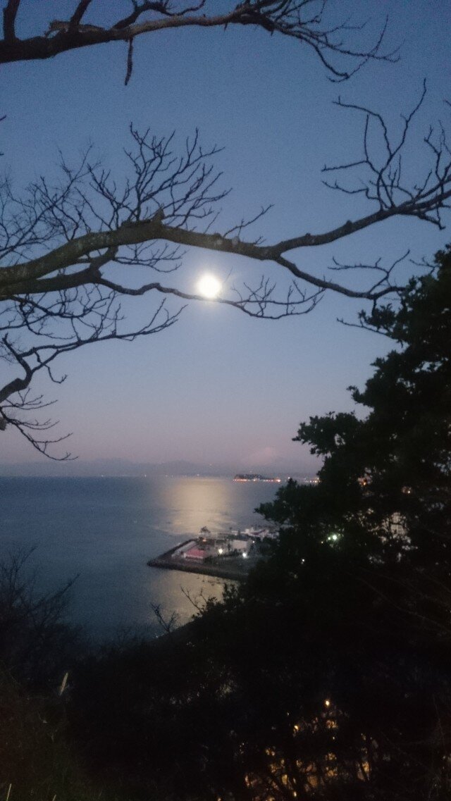 ブルームーンライト 作品一覧 | iichi 日々の暮らしを心地よくするハンドメイドやアンティークのマーケットプレイス