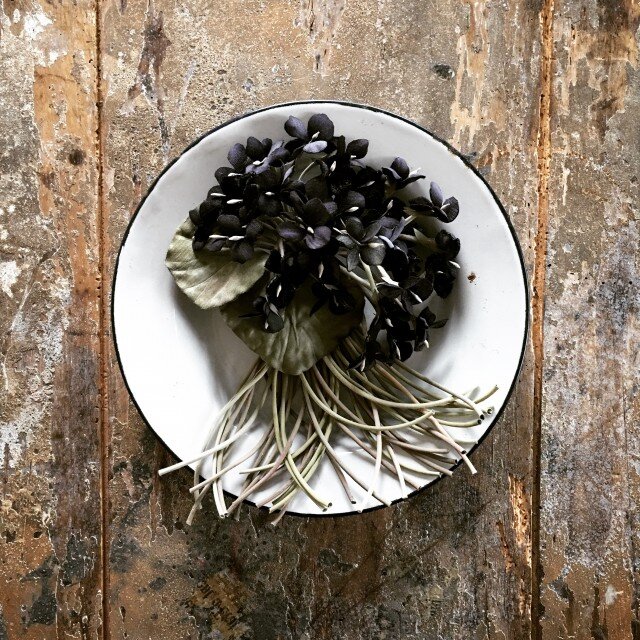 suMire-bouquet 作品一覧 | iichi 日々の暮らしを心地よくするハンドメイドやアンティークのマーケットプレイス