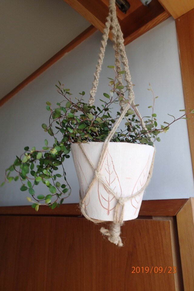 green green co. 作品一覧 | iichi 日々の暮らしを心地よくするハンドメイドやアンティークのマーケットプレイス