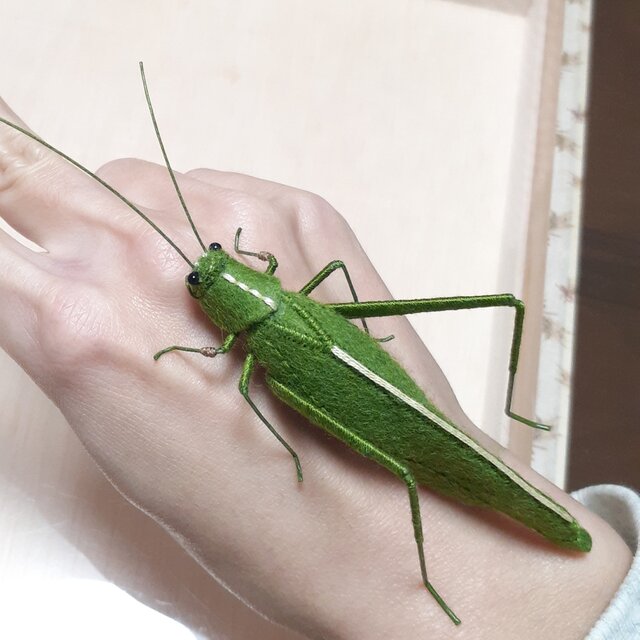 はたおりむし工房 プロフィール | iichi 日々の暮らしを心地よくするハンドメイドやアンティークのマーケットプレイス