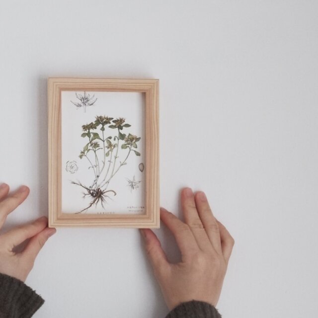 なかいみわ プロフィール | iichi 日々の暮らしを心地よくするハンドメイドやアンティークのマーケットプレイス