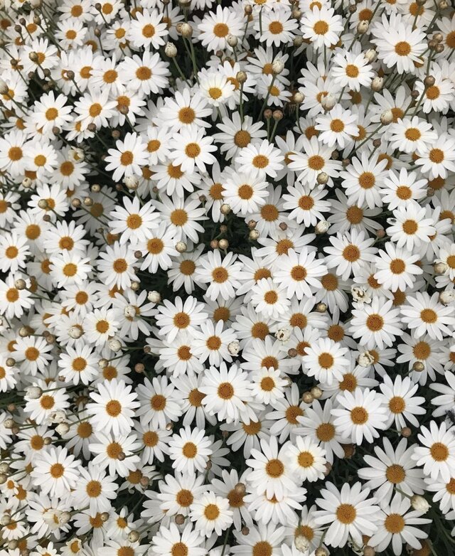 solt 作品一覧 | iichi 日々の暮らしを心地よくするハンドメイドやアンティークのマーケットプレイス