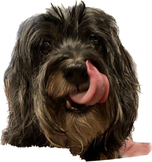 Olive factry プロフィール | iichi 日々の暮らしを心地よくするハンドメイドやアンティークのマーケットプレイス