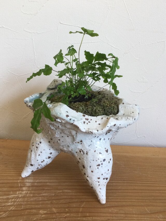 朔風窯 作品一覧 | iichi 日々の暮らしを心地よくするハンドメイドやアンティークのマーケットプレイス