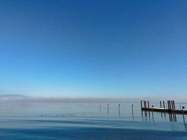 Sui Jitsu 作品一覧 | iichi 日々の暮らしを心地よくするハンドメイドやアンティークのマーケットプレイス