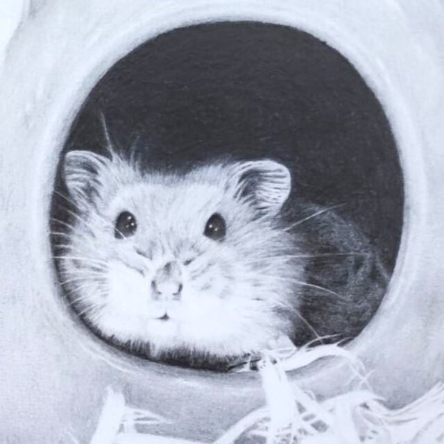 TOMO 作品一覧 | iichi 日々の暮らしを心地よくするハンドメイドやアンティークのマーケットプレイス