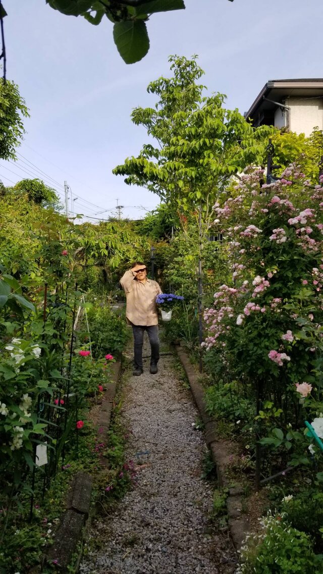 穏やかで幸せな生活 作品一覧 | iichi 日々の暮らしを心地よくするハンドメイドやアンティークのマーケットプレイス