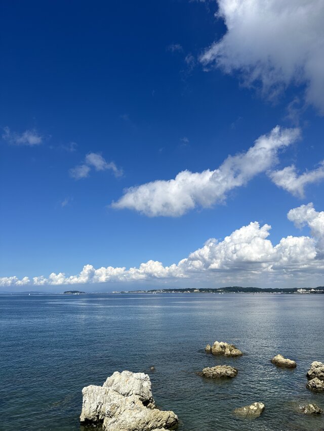 ベインテ 作品一覧 | iichi 日々の暮らしを心地よくするハンドメイドやアンティークのマーケットプレイス