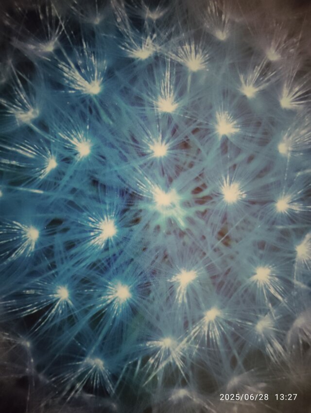 Pay shop seII roughf 作品一覧 | iichi 日々の暮らしを心地よくするハンドメイドやアンティークのマーケットプレイス