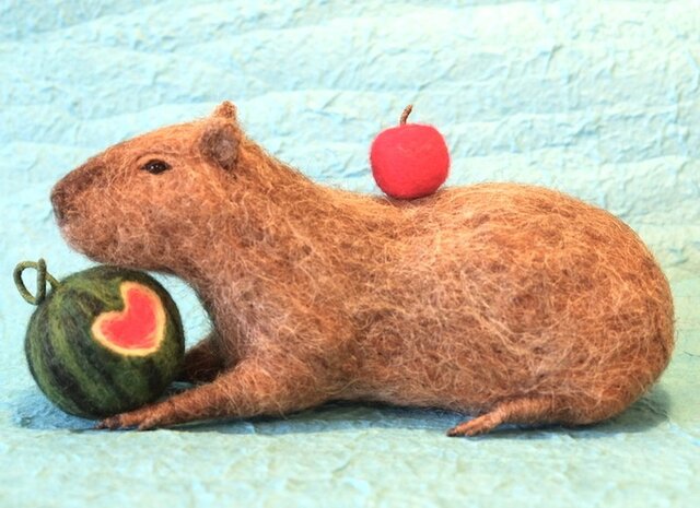 すいか（カピバラ） | Studio-Argali | ハンドメイド通販 iichi（いいち）