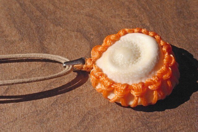 shell necklace #1 | iichi ハンドメイド・クラフト作品・手仕事品の通販