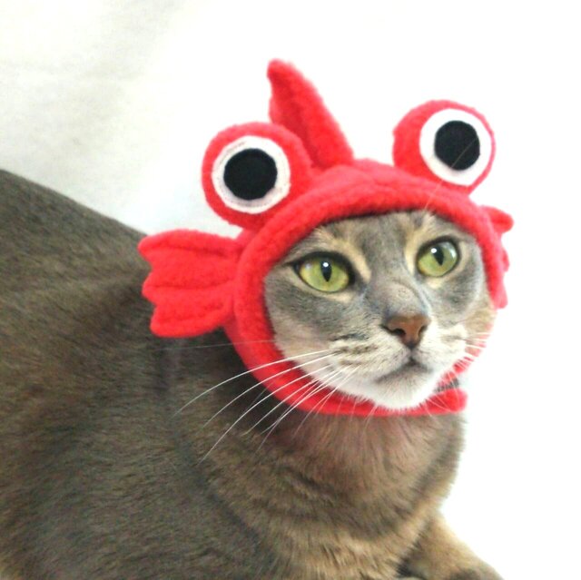 金魚（デメキン）のかぶりもの（帽子）【S/M/L】 | iichi 日々の暮らしを心地よくするハンドメイドやアンティークのマーケットプレイス