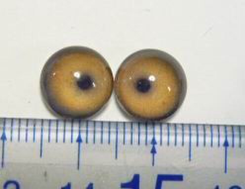 にゃんこのおめめ 半球グラスアイ 猫目 10mm 10522 | iichi ハンドメイド・クラフト作品・手仕事品の通販