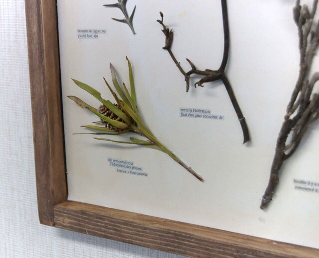 ｱﾝﾃｨｰｸﾊﾟﾈﾙ Q-13 | iichi 日々の暮らしを心地よくするハンドメイドやアンティークのマーケットプレイス