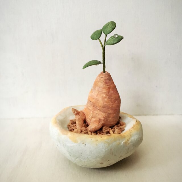 3576.bud ガジュマル 抜け出せない | iichi ハンドメイド・クラフト作品・手仕事品の通販