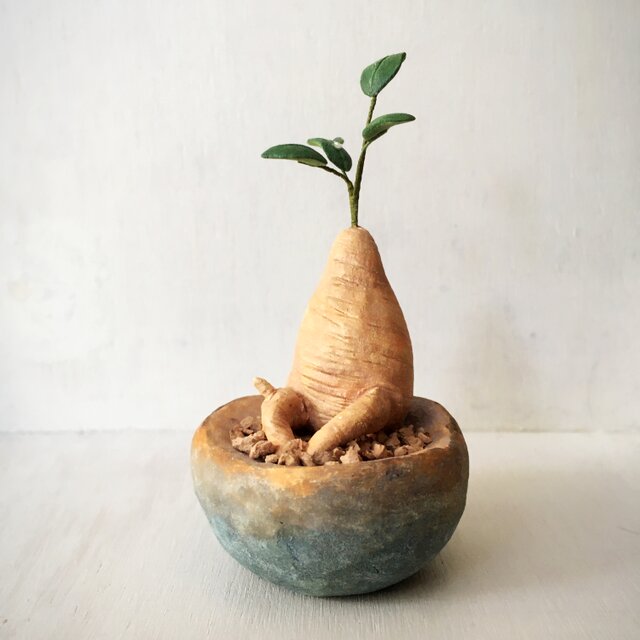 3692.bud ガジュマル 抜け出せない | iichi ハンドメイド・クラフト作品・手仕事品の通販