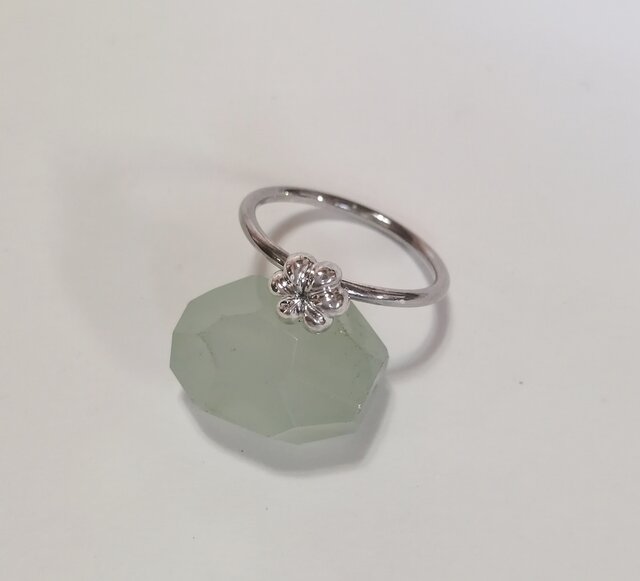 taniku/h 多肉 シルバーモチーフリング | iichi ハンドメイド・クラフト作品・手仕事品の通販