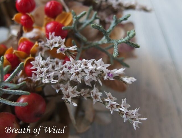 ツルウメモドキのホワイトリースmini | iichi 日々の暮らしを心地よくするハンドメイドやアンティークのマーケットプレイス