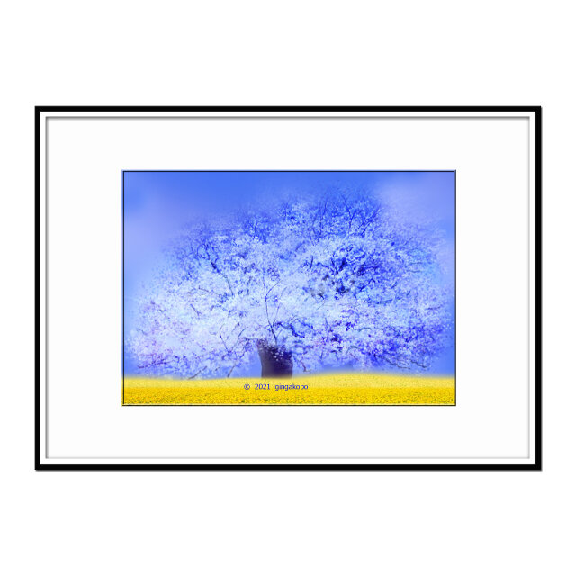 「桜三月、ボクと生きてくれ」 春 桜 菜の花 ほっこり癒しのイラストA4サイズポスター No.767 | iichi ハンドメイド・クラフト作品・手仕事品の通販