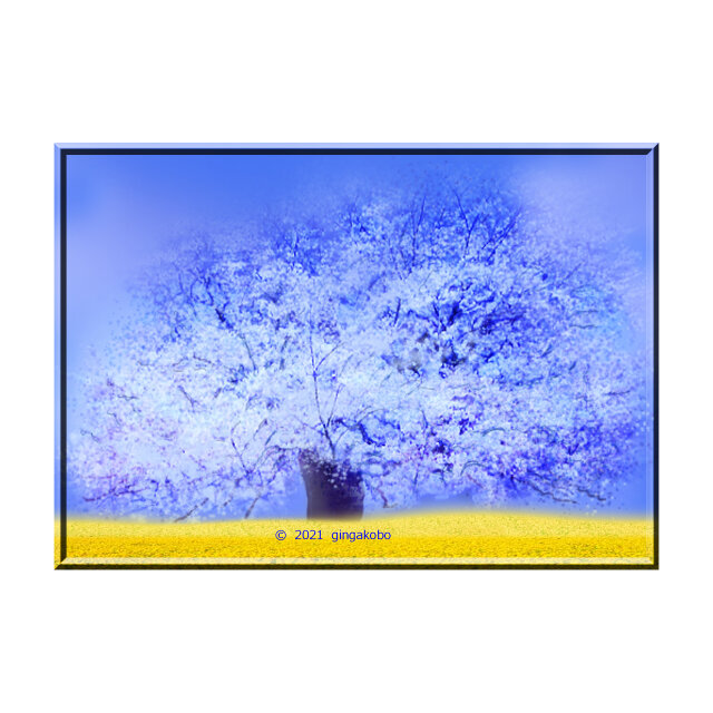 「桜三月、ボクと生きてくれ」 春 桜 菜の花 ほっこり癒しのイラストA4サイズポスター No.767 | iichi ハンドメイド・クラフト作品・手仕事品の通販