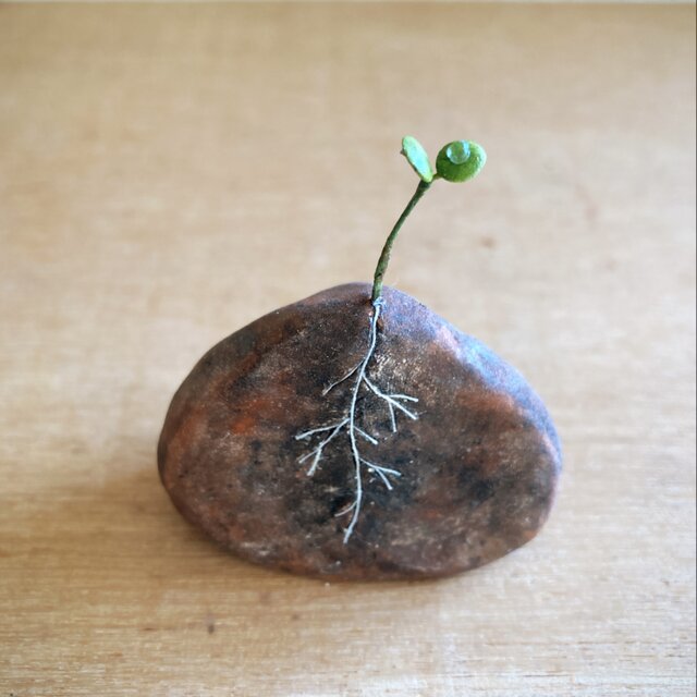 5535.bud 根っこ | iichi ハンドメイド・クラフト作品・手仕事品の通販
