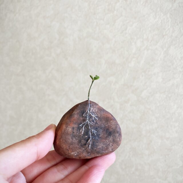 5535.bud 根っこ | iichi ハンドメイド・クラフト作品・手仕事品の通販