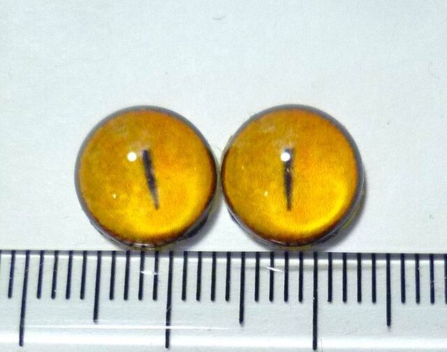 半球グラスアイ10mm 再販なし・売り切り一点もの 10-059 | iichi ハンドメイド・クラフト作品・手仕事品の通販