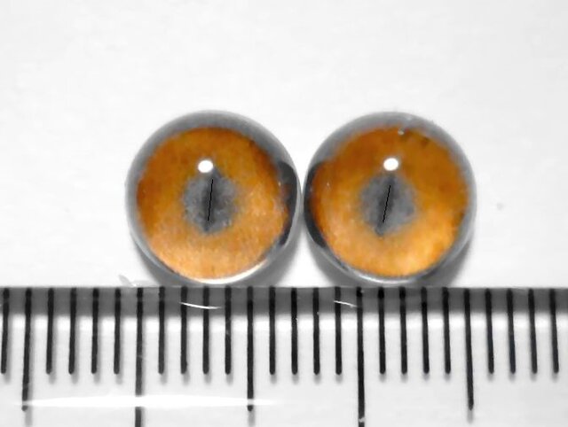 半球グラスアイ8mm 再販なし・売り切り一点もの 08-024 | iichi ハンドメイド・クラフト作品・手仕事品の通販