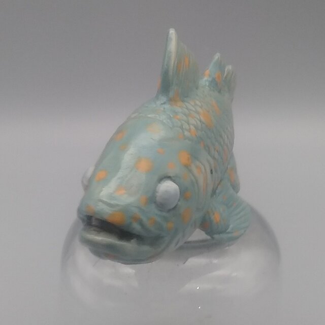 200gAs シーラ観賞魚 | iichi ハンドメイド・クラフト作品・手仕事品の通販
