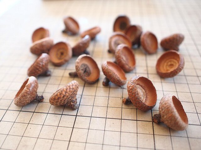 どんぐり帽子 大きい！2.3㎝ 20個 500円玉より一回り小さい | iichi ハンドメイド・クラフト作品・手仕事品の通販