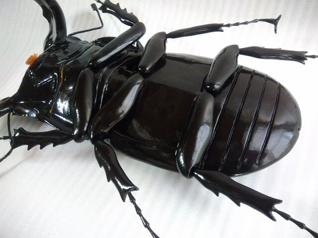タランドゥス MEGA・BIG リアルフィギュア | iichi ハンドメイド・クラフト作品・手仕事品の通販