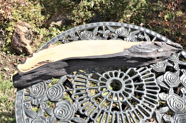 黒柿展示台 その1 | iichi ハンドメイド・クラフト作品・手仕事品の通販