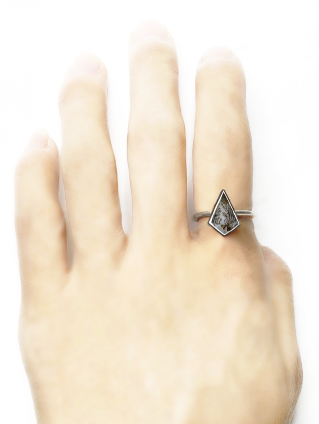 一点もの Dendritic Agate リング シルバー No.21/ 受注制作 | iichi 日々の暮らしを心地よくするハンドメイドやアンティークのマーケットプレイス