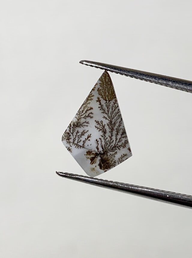 一点もの Dendritic Agate リング シルバー No.21/ 受注制作 | iichi 日々の暮らしを心地よくするハンドメイドやアンティークのマーケットプレイス