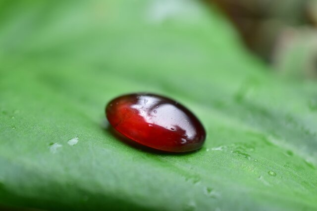 ★ガーネットs607 | iichi ハンドメイド・クラフト作品・手仕事品の通販