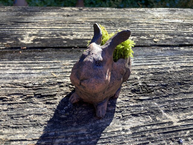 苔うさぎ_brown | iichi ハンドメイド・クラフト作品・手仕事品の通販