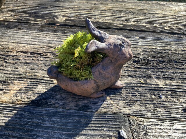 苔うさぎ_brown | iichi ハンドメイド・クラフト作品・手仕事品の通販