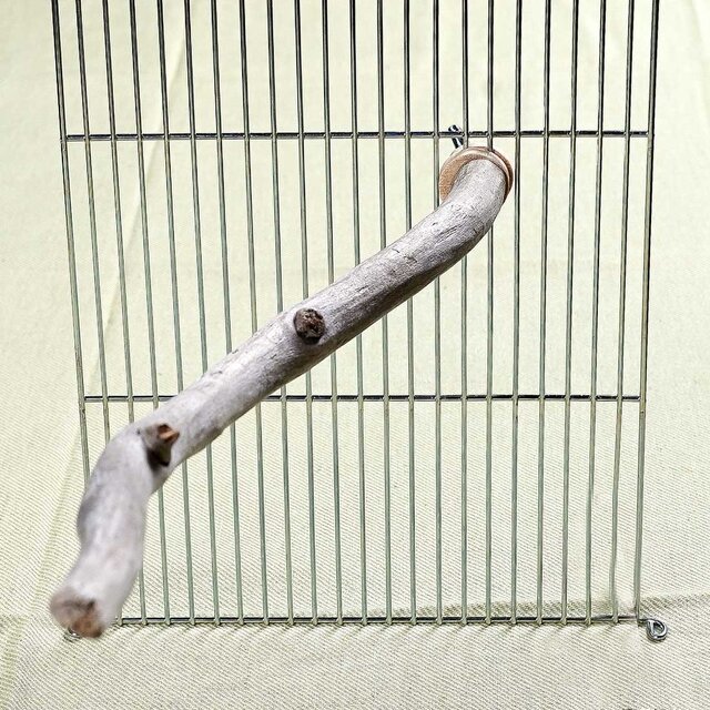 流木の止まり木 鳥かご用【バードランドの子守歌】バードケージ用 止まり木051 | iichi ハンドメイド・クラフト作品・手仕事品の通販