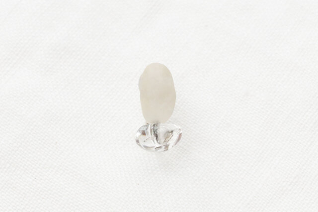 イヤリング｜海の石｜SSE-05 | iichi ハンドメイド・クラフト作品・手仕事品の通販