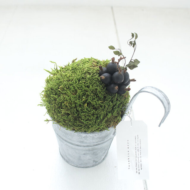 フェールブラン GR | iichi ハンドメイド・クラフト作品・手仕事品の通販