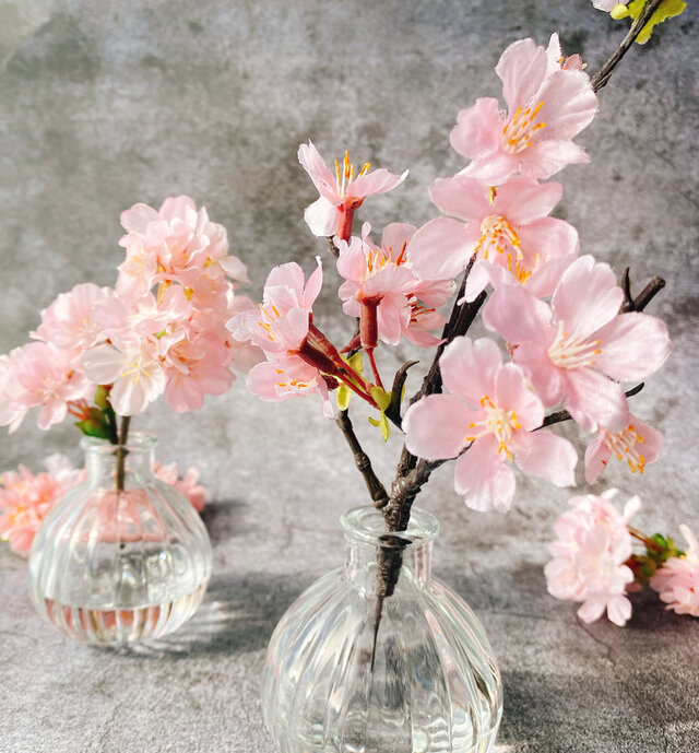 春待ち桜の一輪挿し お手入れ不要 枯れない桜 マジカルウォーター spring | iichi 日々の暮らしを心地よくするハンドメイドやアンティークのマーケットプレイス
