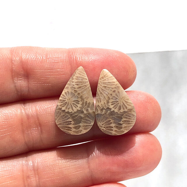 フォッシルコーラル[199] 21mm ペア 天然石 / カボション / ルース | iichi ハンドメイド・クラフト作品・手仕事品の通販