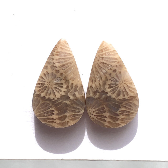 フォッシルコーラル[199] 21mm ペア 天然石 / カボション / ルース | iichi ハンドメイド・クラフト作品・手仕事品の通販