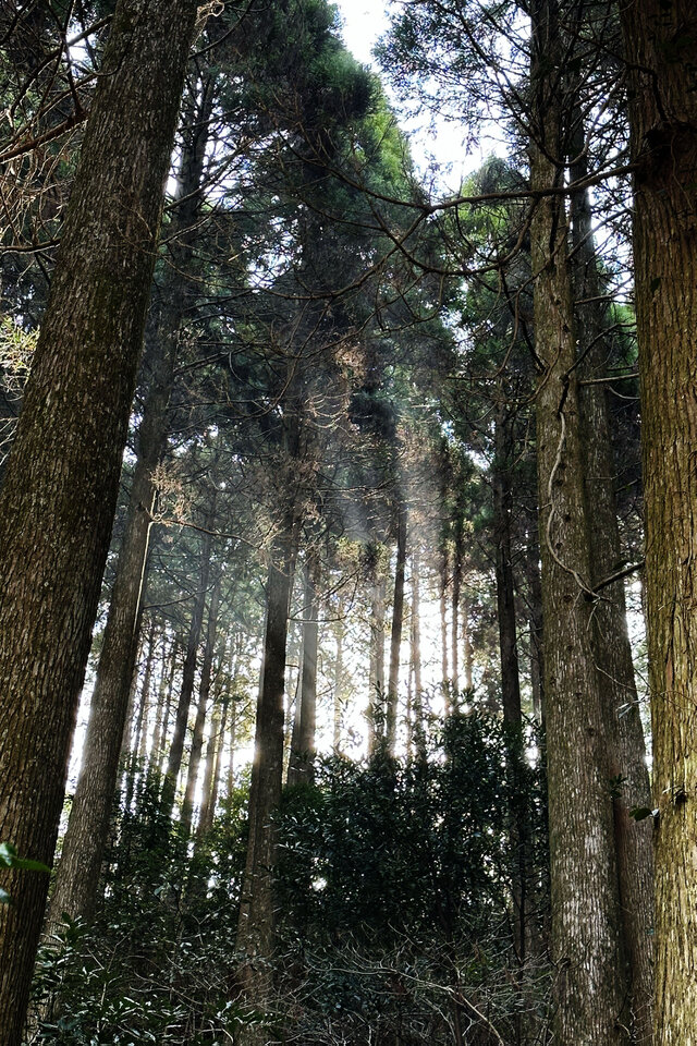 K18 Forest long necklace | iichi ハンドメイド・クラフト作品・手仕事品の通販