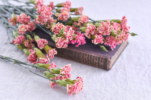 HANA*HAKO ~カーネーションとピンクバラ~ | iichi 日々の暮らしを心地よくするハンドメイドやアンティークのマーケットプレイス