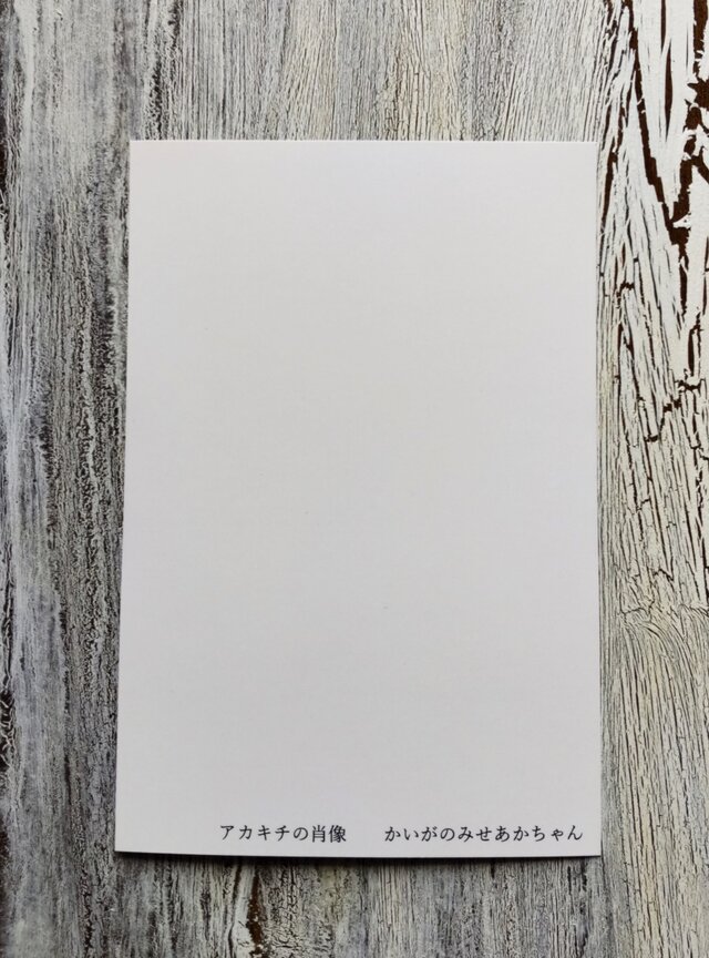 メッセージカード・10枚「アカキチの肖像」A6サイズ（葉書サイズ）・OPP袋入り/送料無料・初期モデル | iichi ハンドメイド・クラフト作品・手仕事品の通販